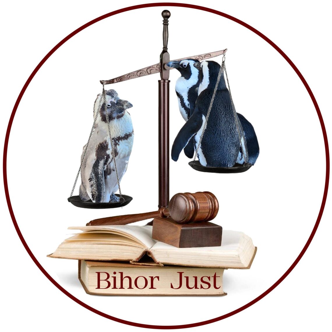 Vicepreședintele CSM, procurorul Claudiu Sandu: ”orice magistrat și-a ...